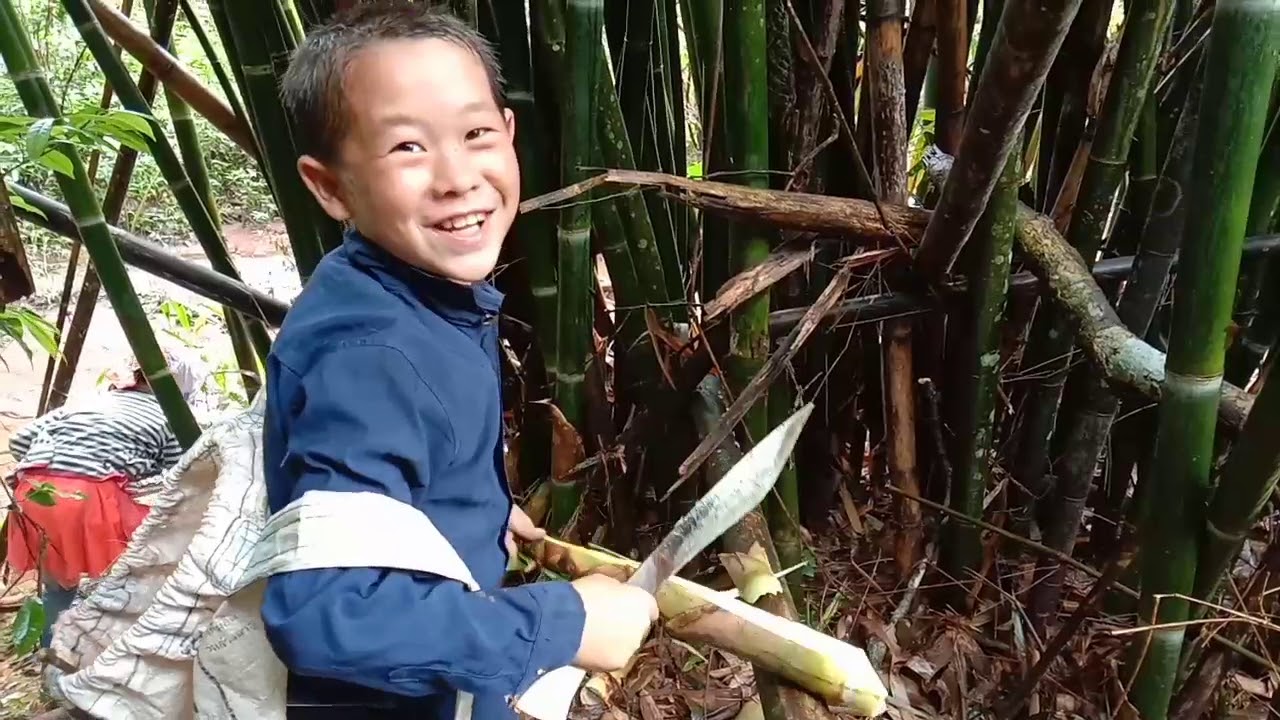 Hnb no mus lov kaus xyoob thiab de dib - YouTube