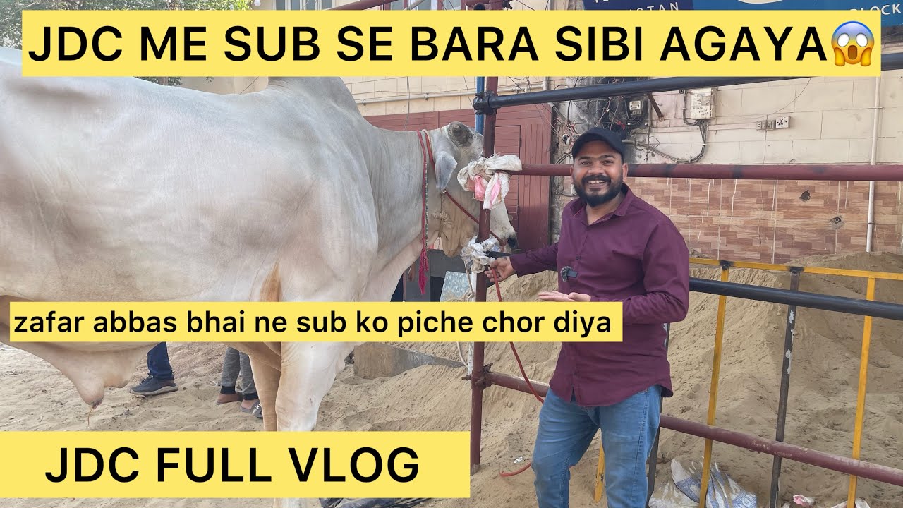 JDC full vlog || is bar zafar bhai sab se bara sibi le ary😱 - YouTube