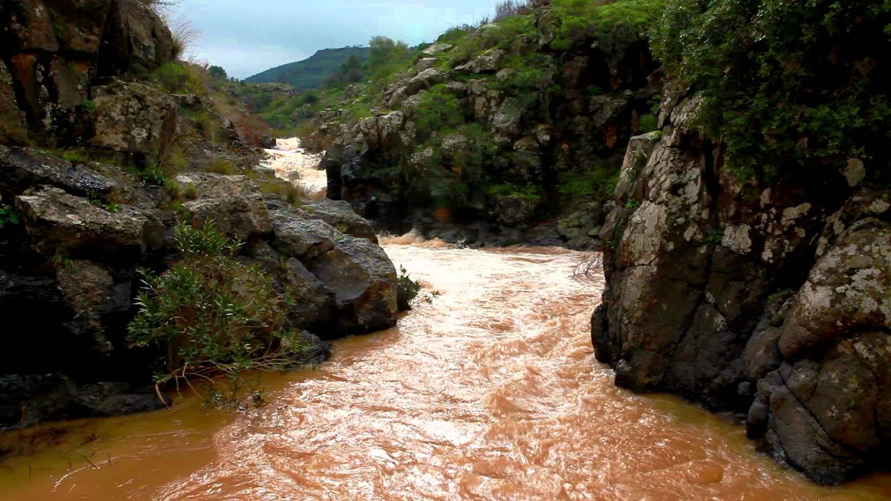 Stock Footage of the rocky banks of a silted river in Israel. - YouTube