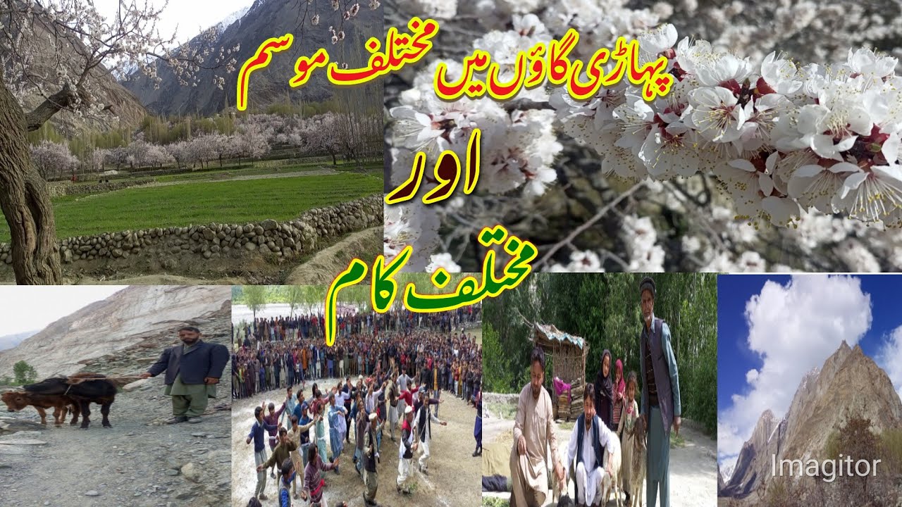 Different Seasons And Activities Of Mountain Village ||Beautiful Season ...