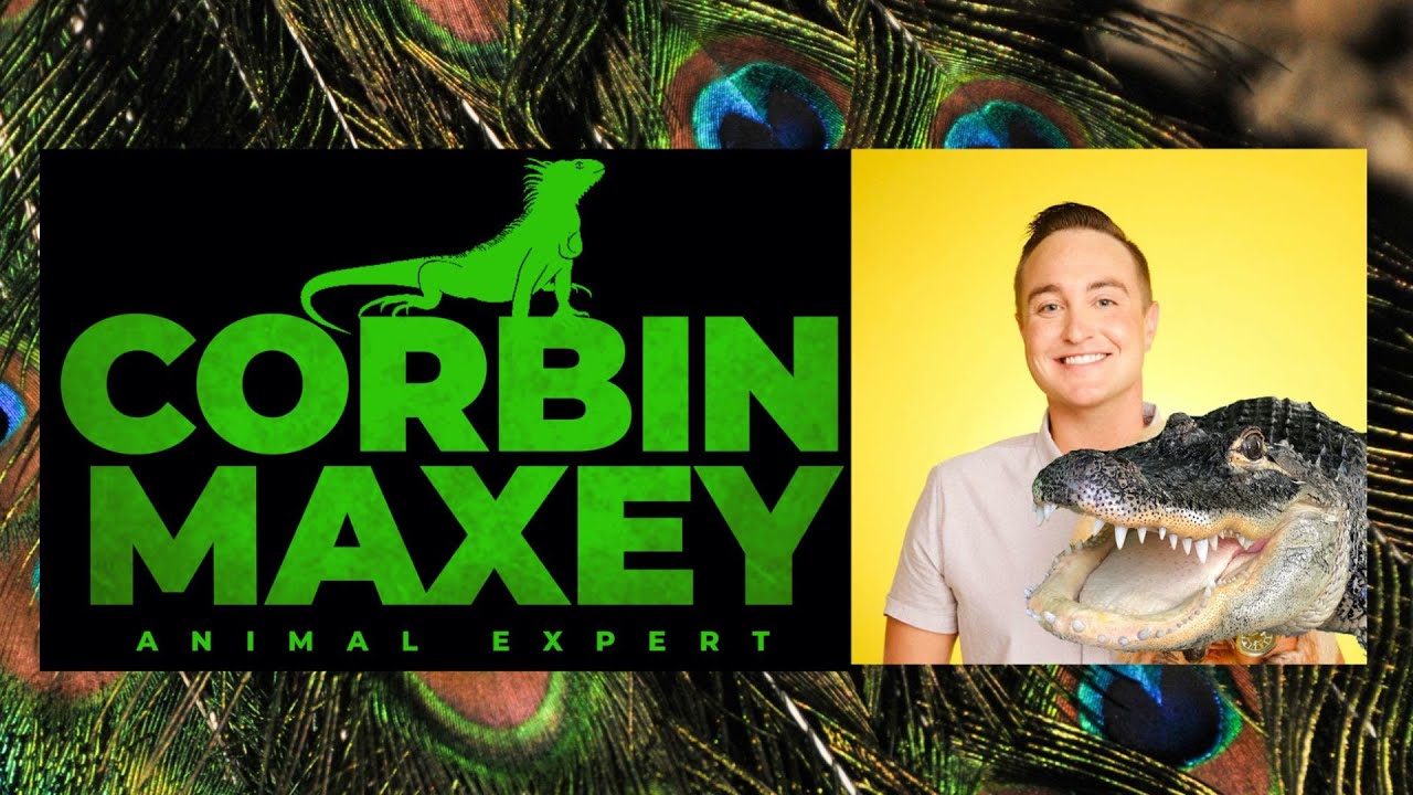 Corbin Maxey - Animal Expert - YouTube