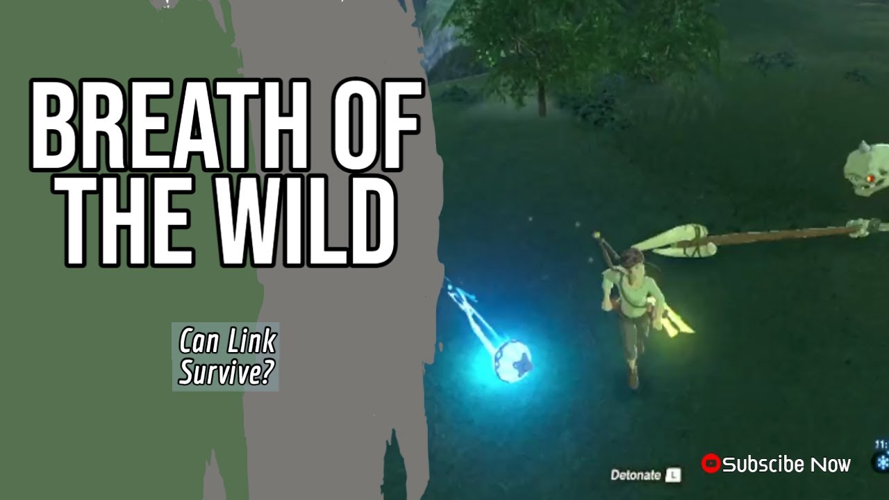 Can Link Survive? | The Legend of Zelda: Breath Of The Wild[17] - YouTube