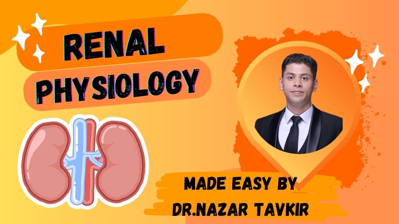 PHYSIOLOGY-RENAL SYSTEM | TUBULOGLOMERULAR FEEDBACK MECHANISMS - YouTube
