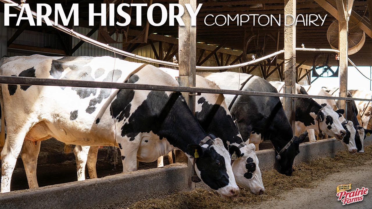 Compton Dairy Farm History - YouTube