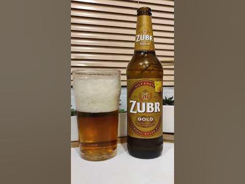 пиво Zubr gold / пивной обзор №77 / #пиво #пивко #чешскоепиво #пивоварня #пивоварение - YouTube