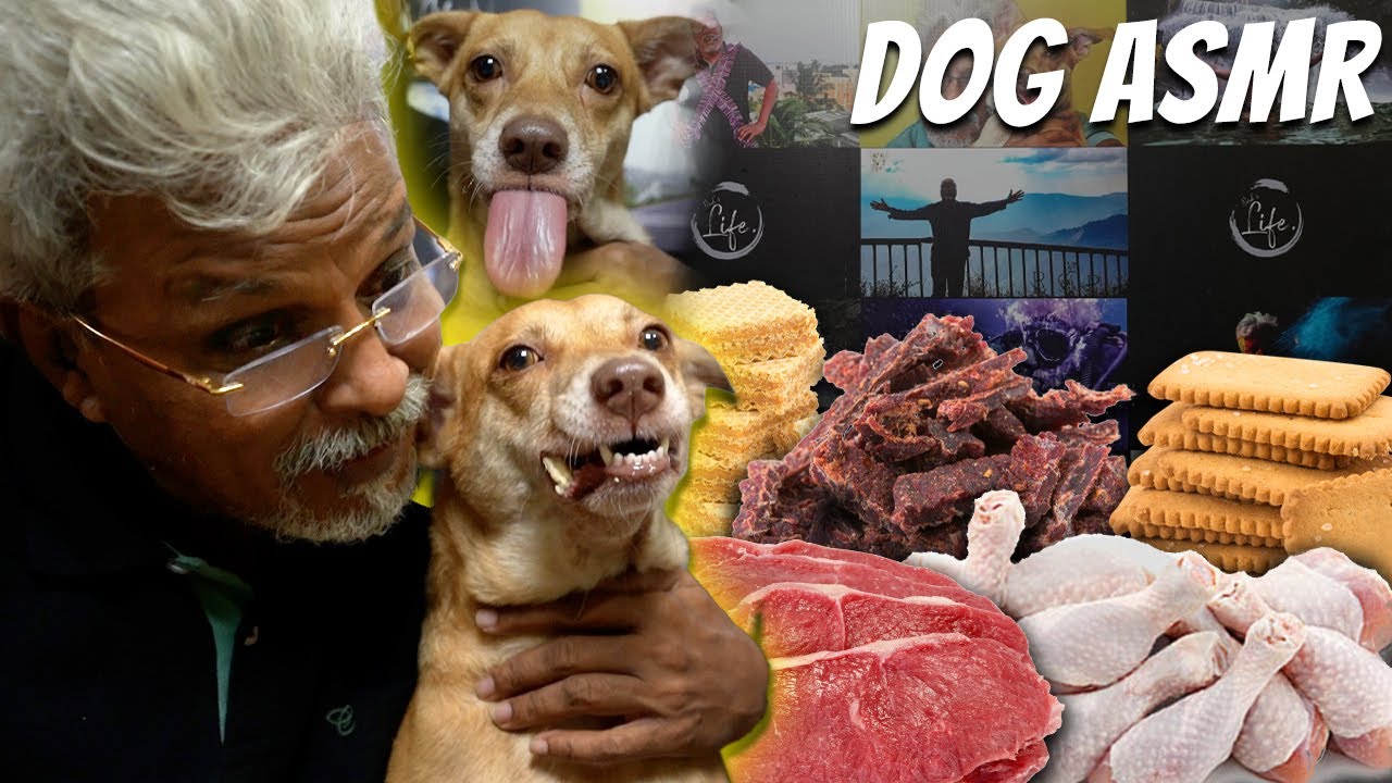 We tried ASMR MUKBANG with COCO 😋🍗 - YouTube