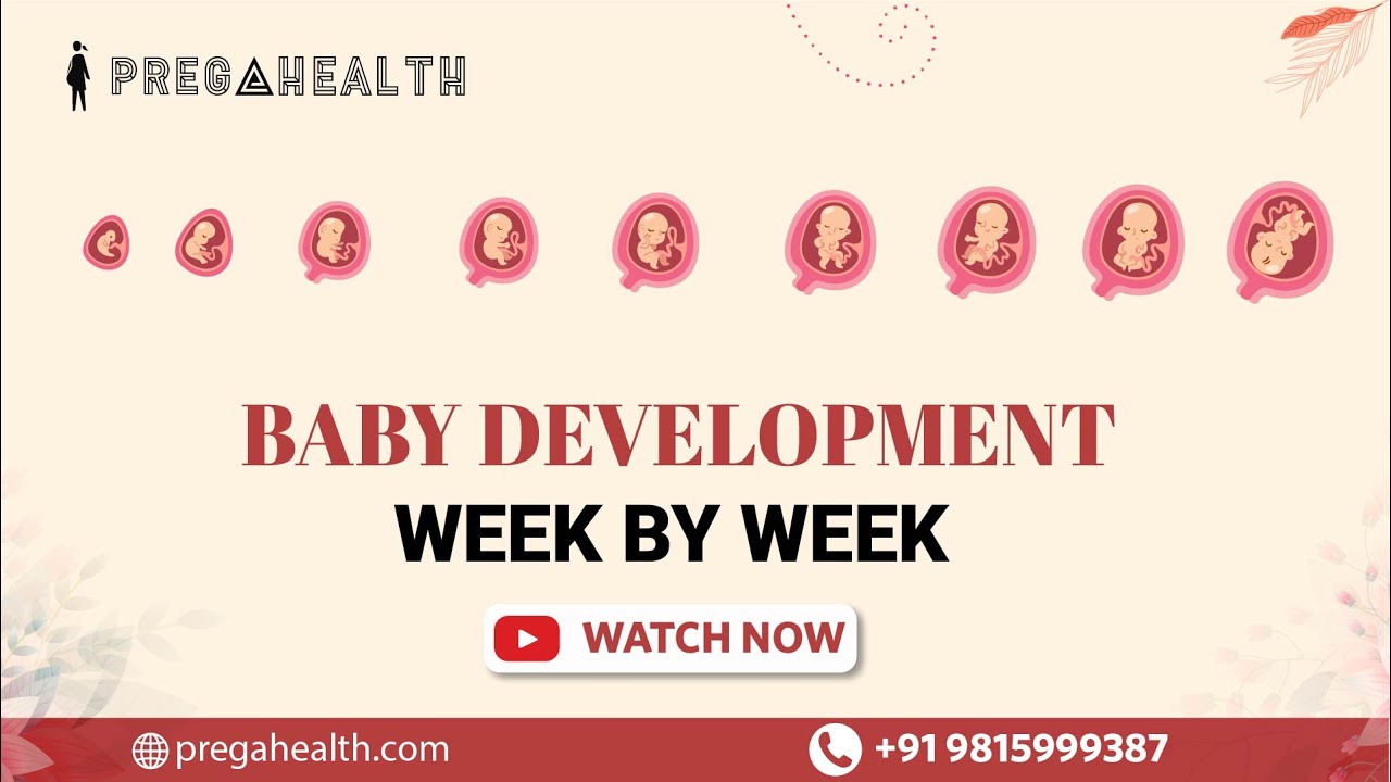 Baby Development Week By Week- Pregahealth - YouTube