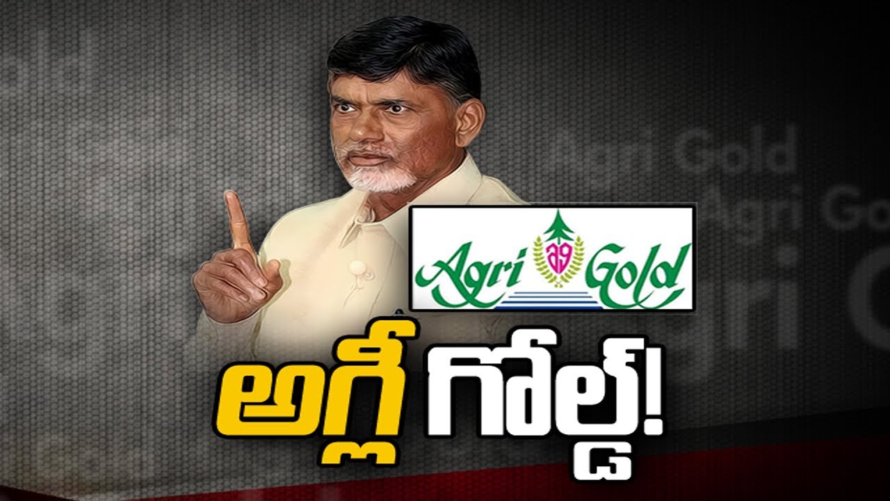 Agri Gold Scam: Victims Protests Continues | Sakshi Magazine Story ...