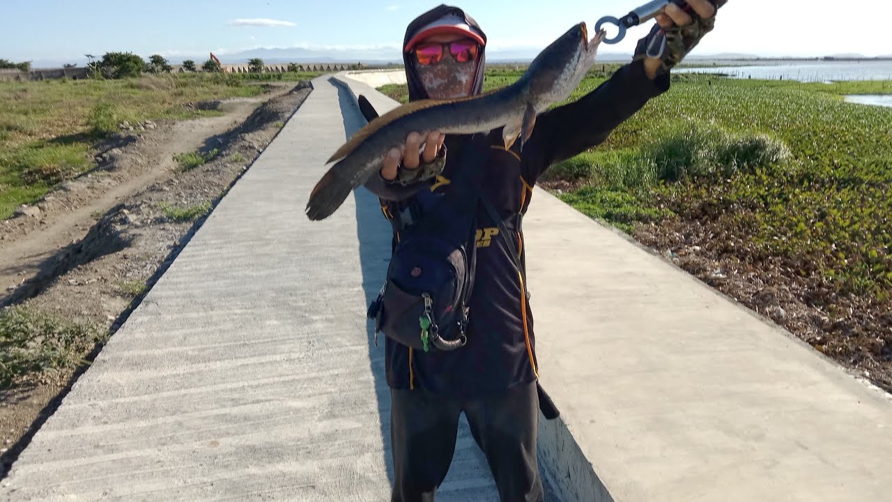 Ep.05 Snakehead Fishing Adventure at Laguna Lake Philippines 🇵🇭 - YouTube