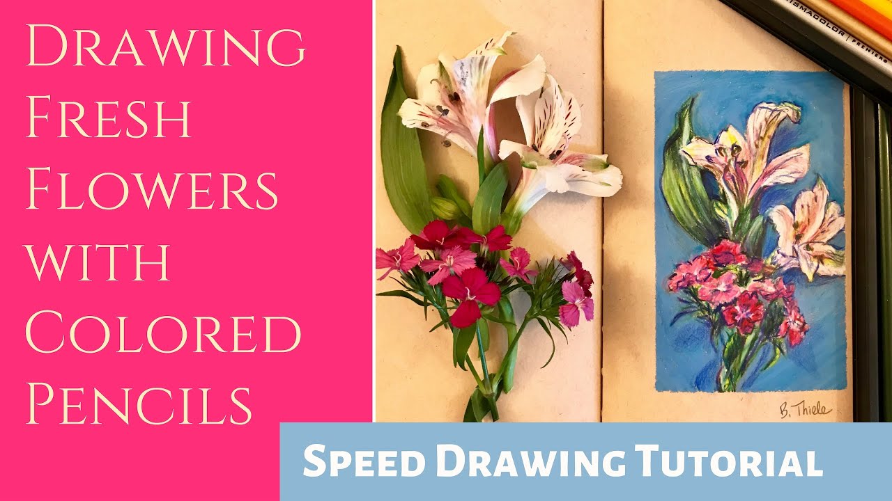 How to Draw Fresh Flowers | Colored Pencil Speed Drawing | Art ...