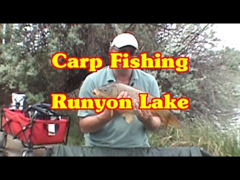 CarpQuest - S1E9 - Runyon Lake Carp Fishing - YouTube