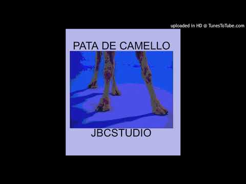 PATA DE CAMELLO