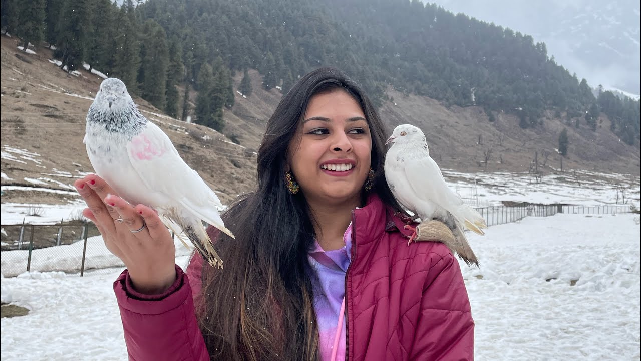 Pahalgam- Aaru valley ,betab valley, Chand valley | Kajal - YouTube