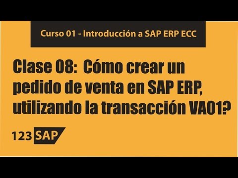 1.8 Curso SAP ERP | ¿Cómo crear un pedido de venta VA01? - Consultor ...