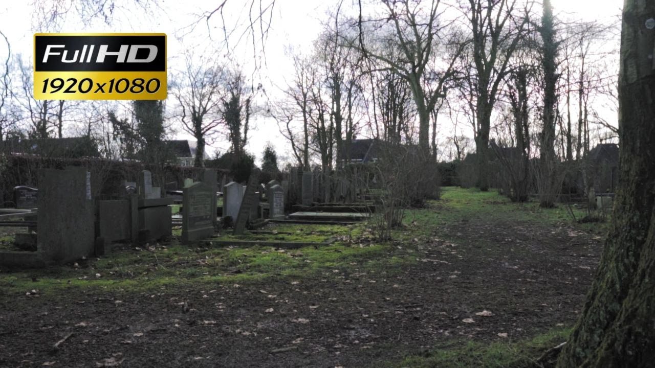 Cemetery | HD | No Copyright | Stock Video - YouTube