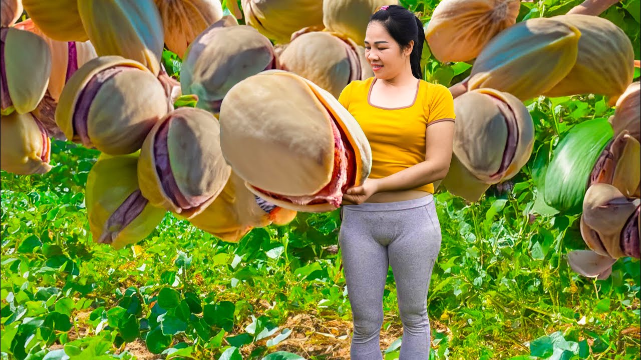 How to Harvesting Dua Bien Fruit & Go to Market Sell | Relax with the ...