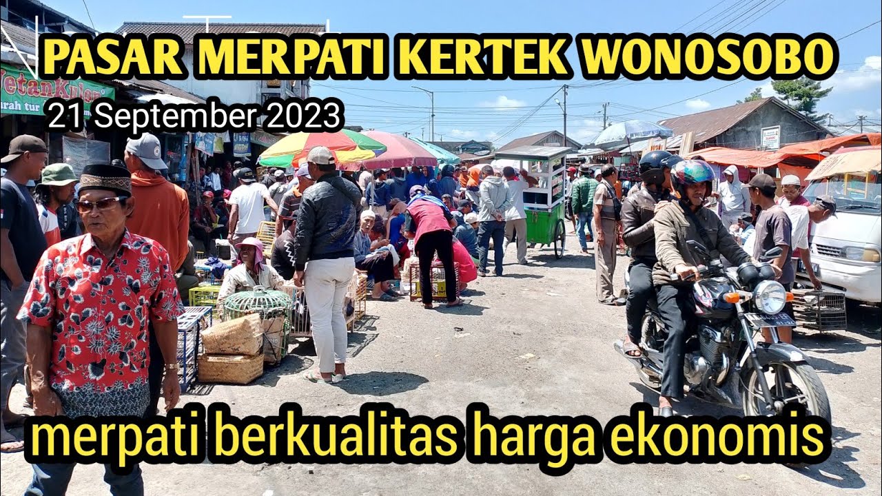 GREBEK PASAR MERPATI KERTEK WONOSOBO terbaru 2023 | MERPATI LOS DOR ...