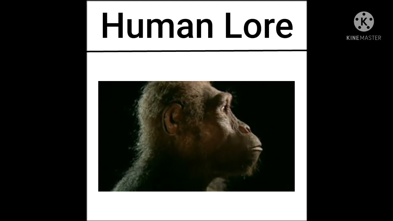 Human lore meme - YouTube