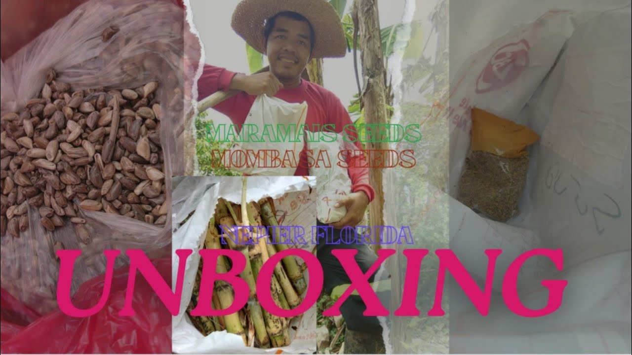 UNBOXING PANGTANIM PARA SA ATING MGA ALAGANG HAYOP | MOMBASA SEEDS ...