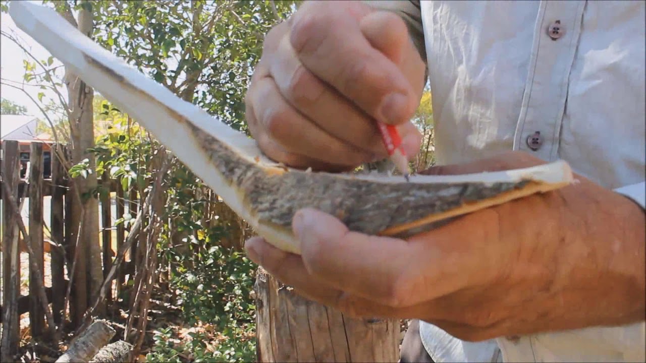 Axing out a wooden spoon blank from avocado timber - YouTube