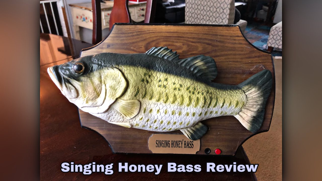 Singing Honey Bass Review - YouTube