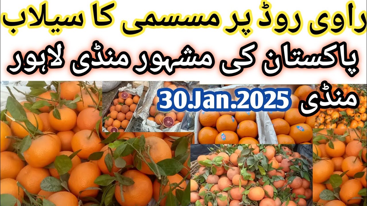 Fruit Prices in Lahore|Pakistan biggest fruit Mandi rate today 2025|# ...