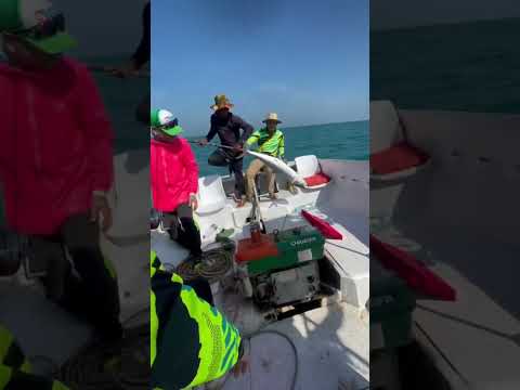 একটা রাত দোয়া করলে হাজার হাজার নেকি পাবেন। #waz @WazTime.24 # ...