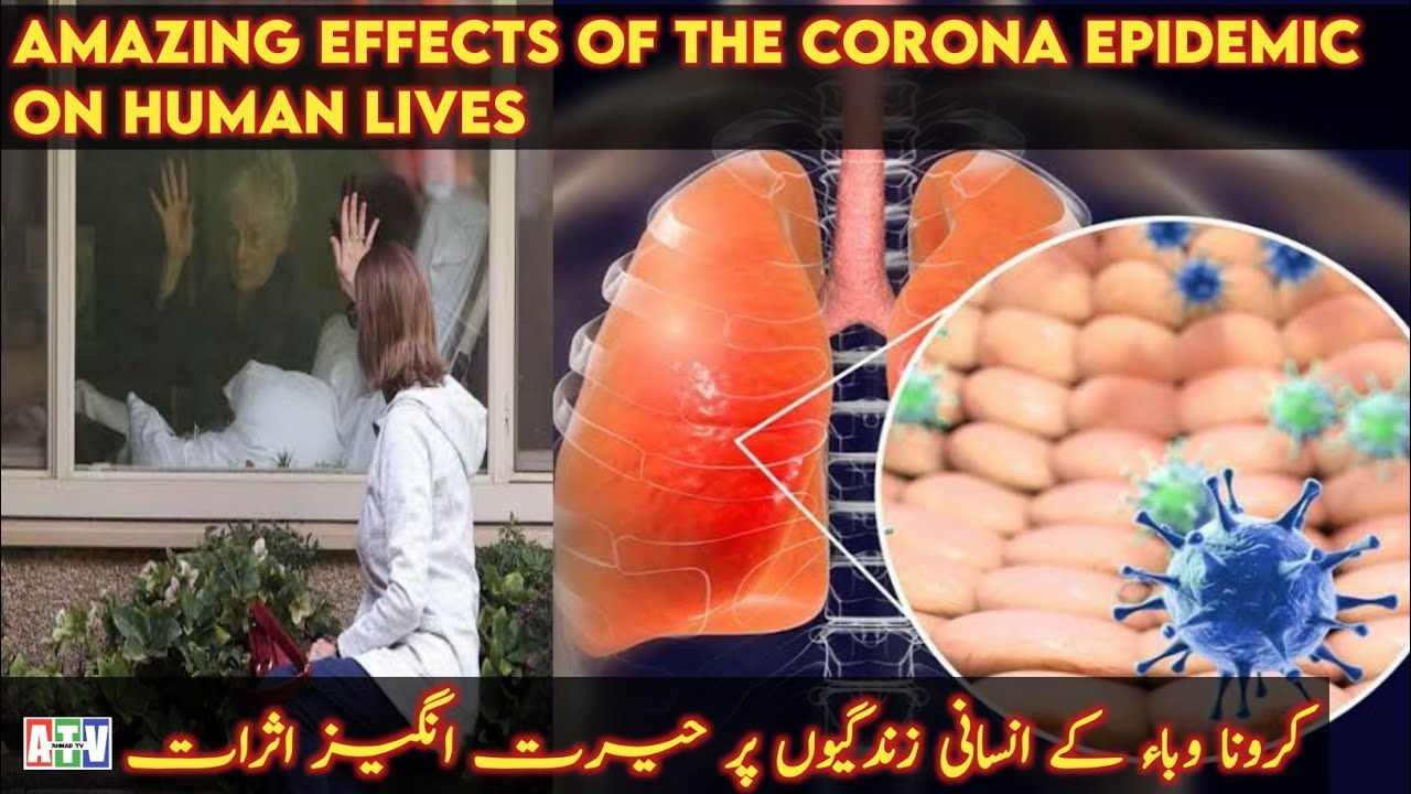 Amazing effects of the Corona epidemic on human lives | Ahmad TV - YouTube