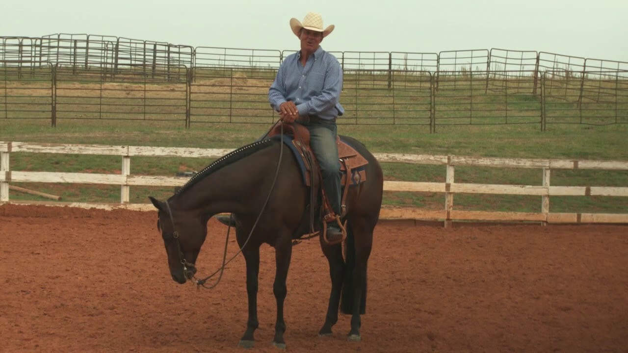 Troy Compton ~ Why is Western Pleasure a Great Place to Start - YouTube