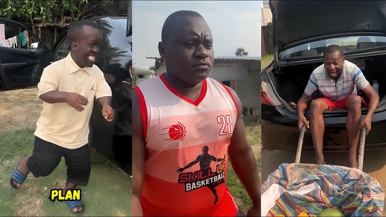 Plan ! Sean Bridon - YouTube