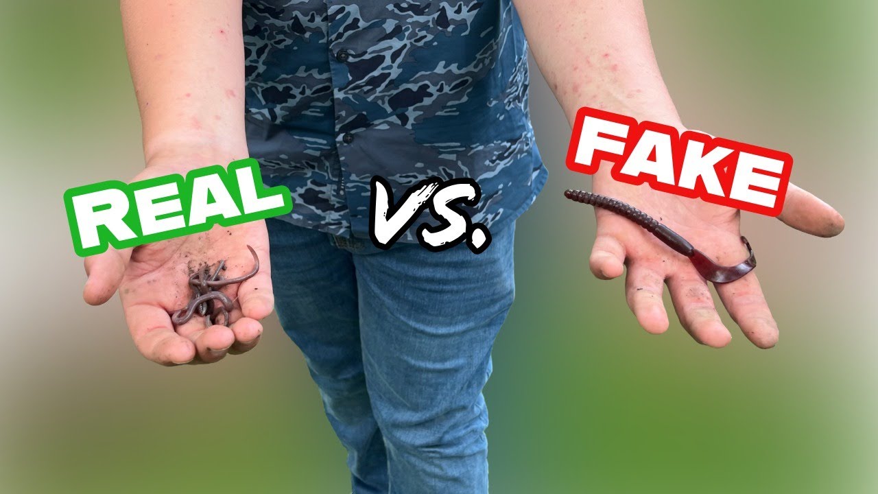 REAL worms VS FAKE worms! What will win? - YouTube