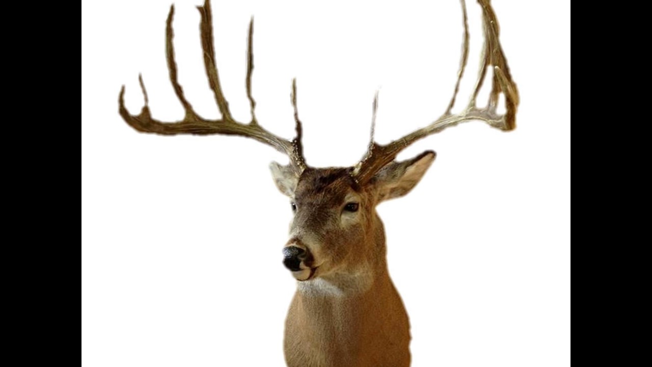 040 Milo Hanson The Hanson Buck | Milo Hanson Special Guest |Boone ...