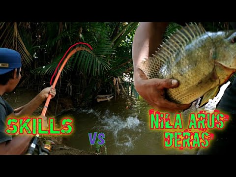 Takluknya monster yang nyaris membawa kabur joranku  #pemancingtowuti  #bigtilapia