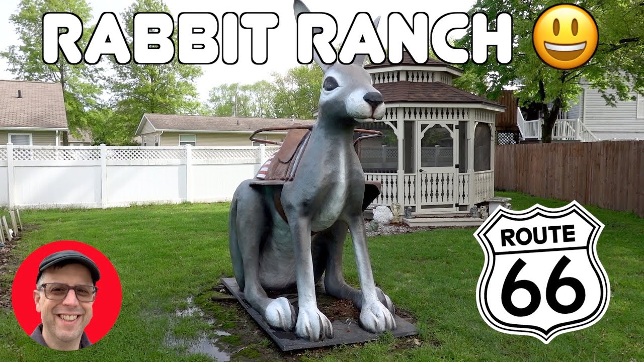 Henry’s Rabbit Ranch 😎 Route 66 Illinois #route66 #rabbit - YouTube