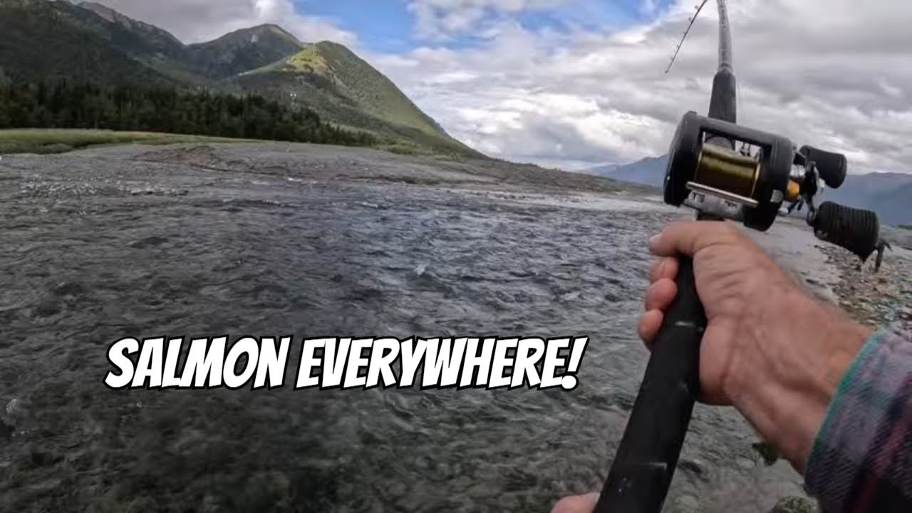 Salmon Fishing in Hope Alaska is BETTER than You Think! - YouTube