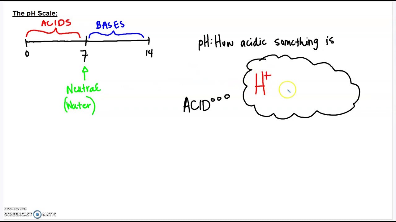 Intro to pH Calculations - YouTube
