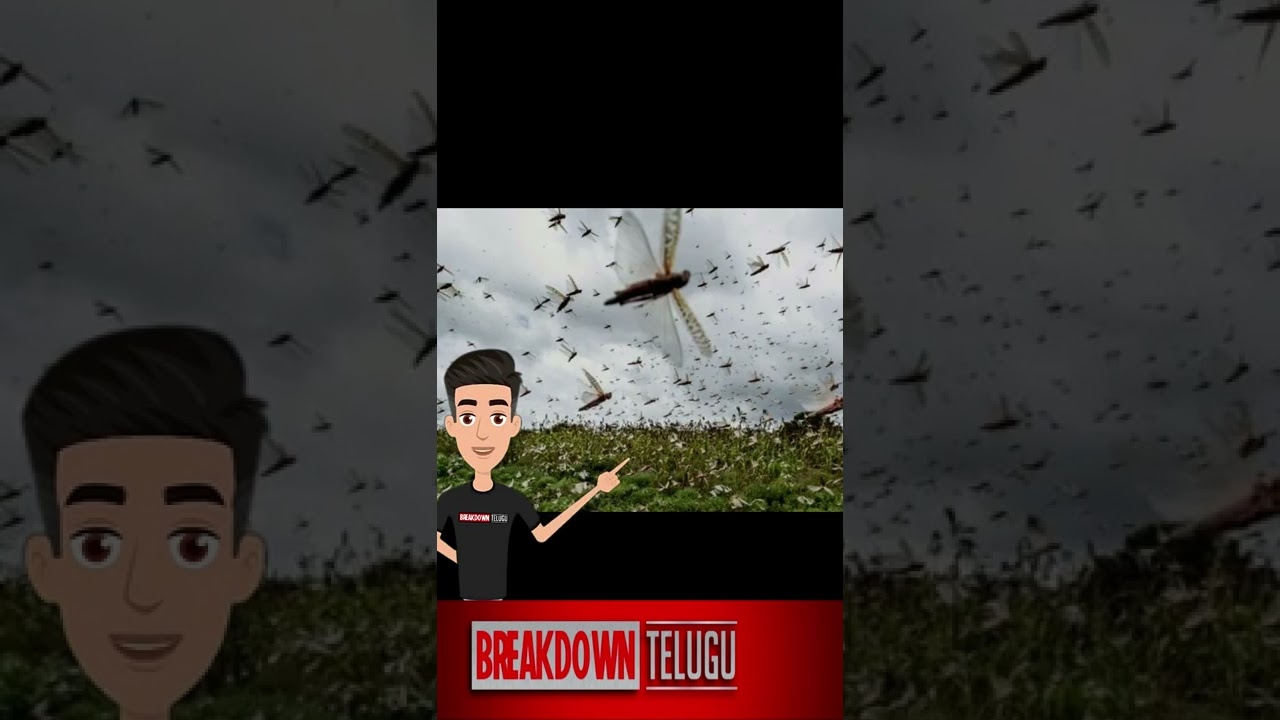 Ghost Rider Special Ability Locust in Telugu @Breakdown Telugu - YouTube