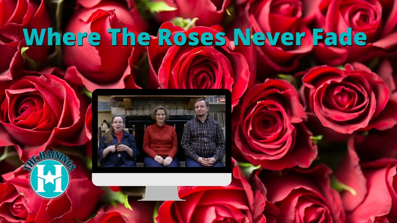Where The Roses Never Fade [cover by the Hainings] - YouTube