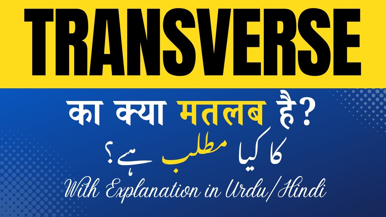 Transverse Meaning in Hindi |Transverse Ka Kya Matlab Hota Hai' Hindi ...