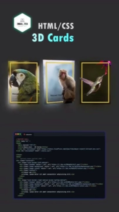 Css 3d Card Animation Cssanimation Htmlcoding Css2024 3danimation Coding Websitedesign