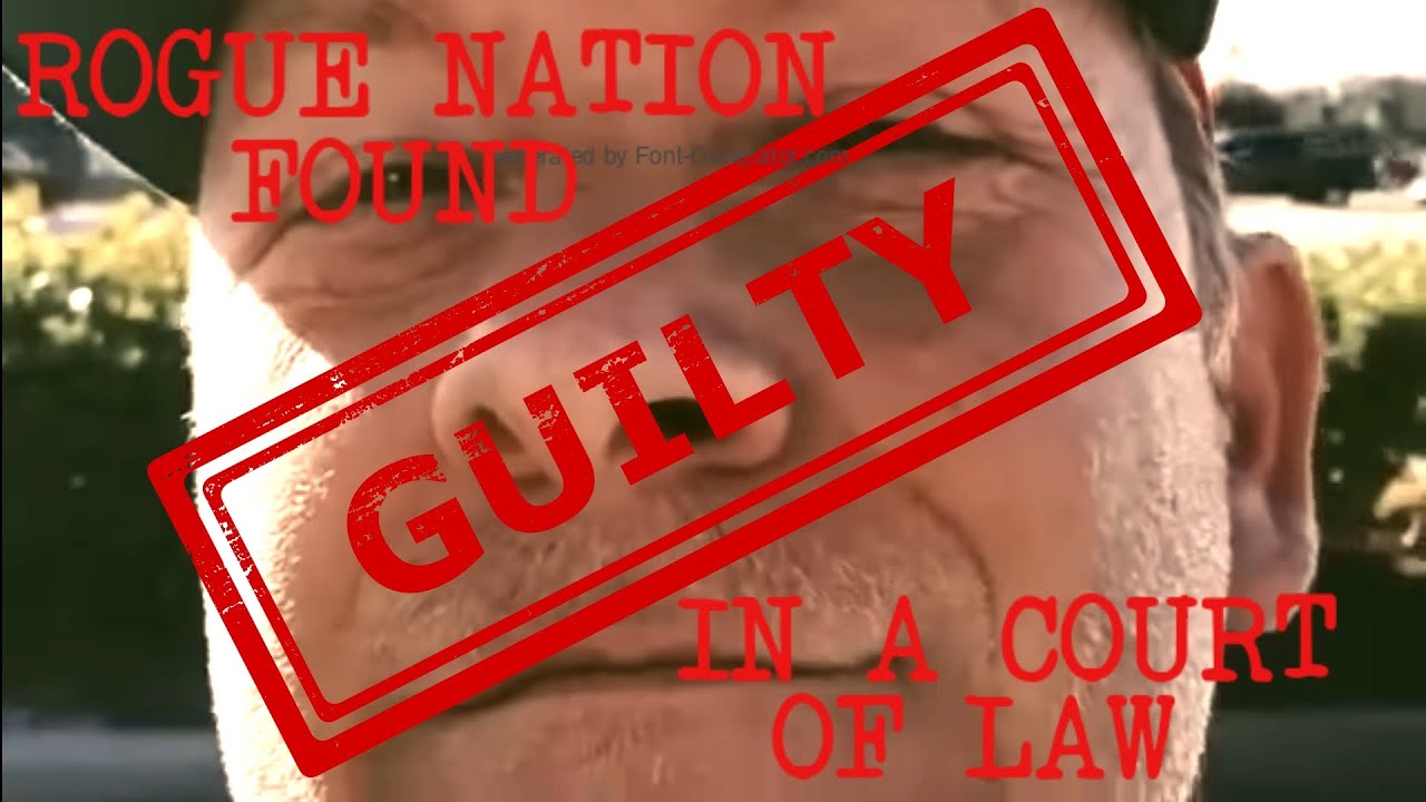 RogueNationAudits FOUND GUILTY, SENTENCED TO 3 YEARS PROBATION, NO MORE ...