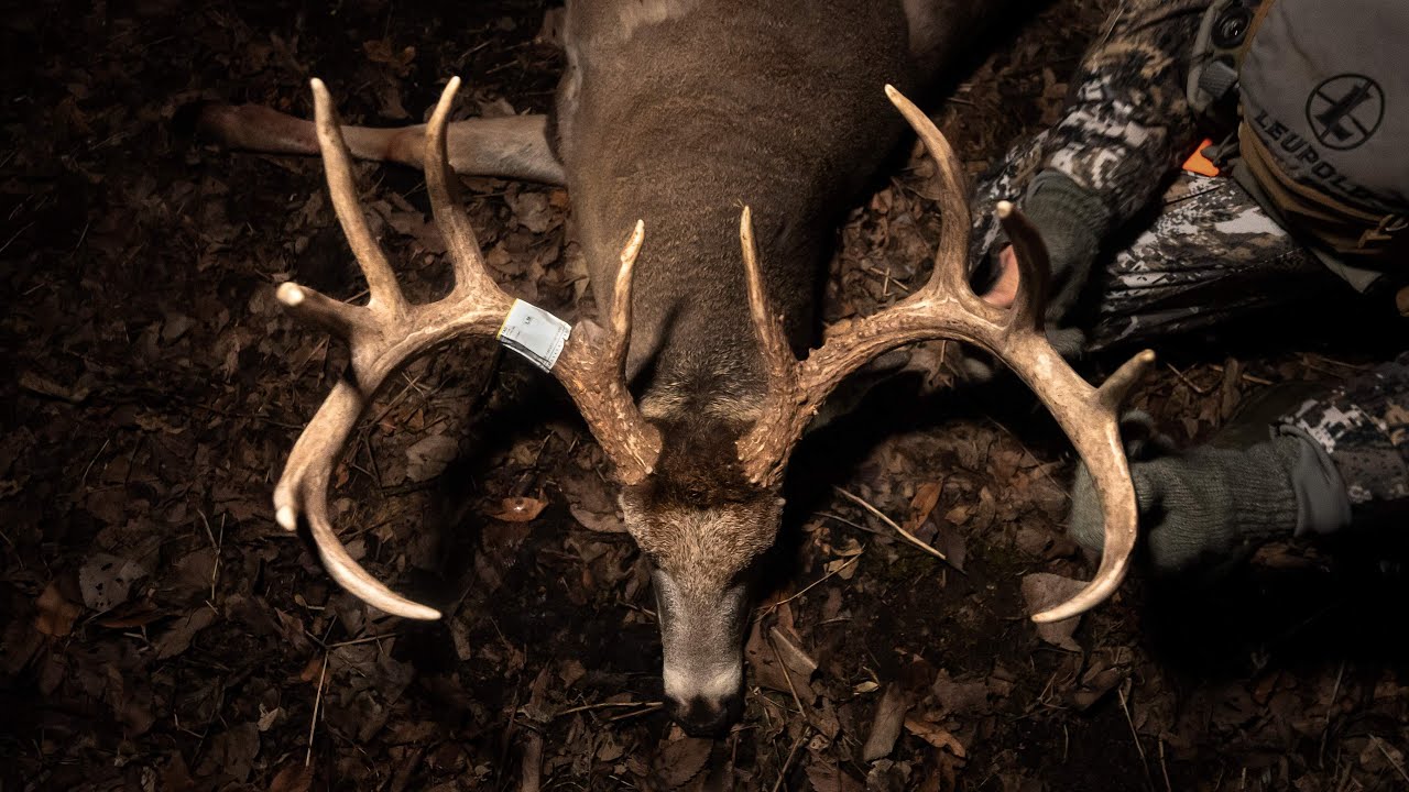 BIGGEST BUCK OF THE SEASON 162” Late season buck in Iowa - YouTube