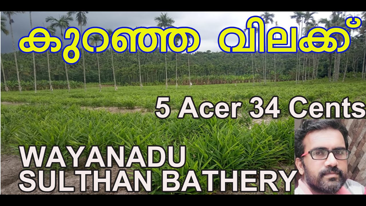 Farm in Wayanadu|Sulthanbathery |cardamom|Pepper|Jathikka|Cocunut ...