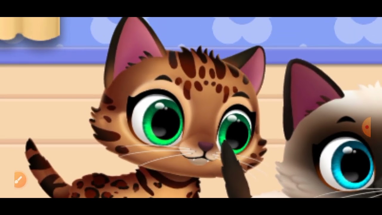 floof cat most party 2 - YouTube