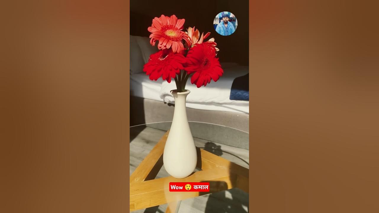 Gajab beautiful 😍 flower pot | Vishal g facts | #shorts #ytshorts #minivlog #vlog @souravjvlogs ...