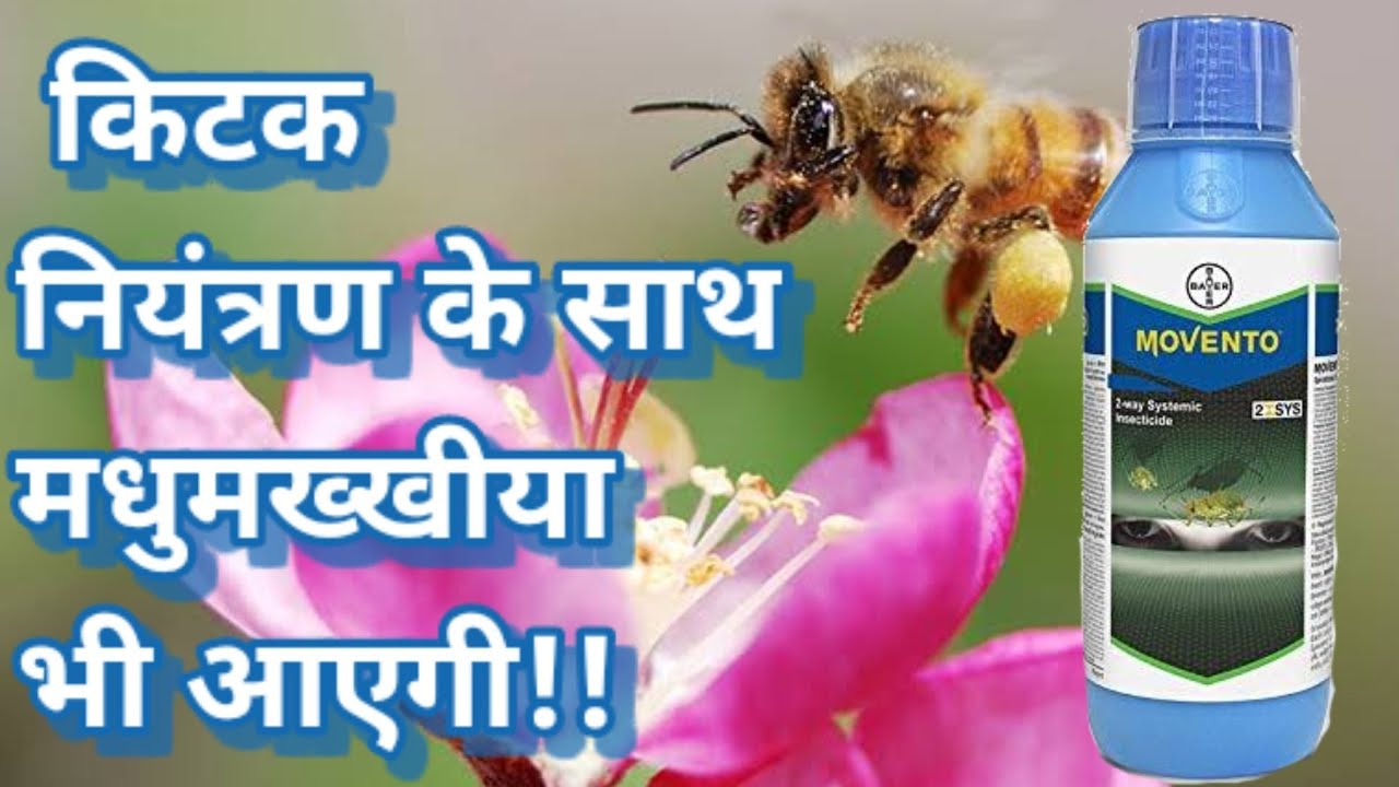 bayer movento insecticide/spirotetramat 15.31% od - YouTube