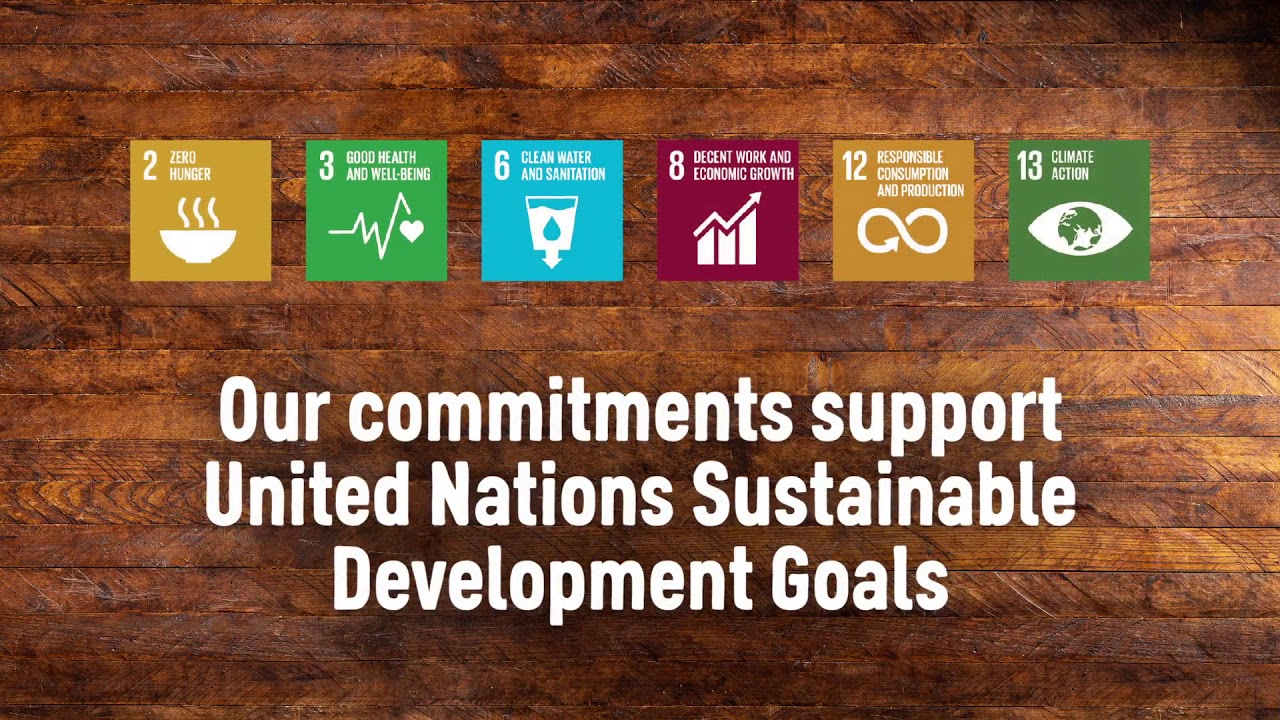 Snacking Made Right Report 2019 - YouTube