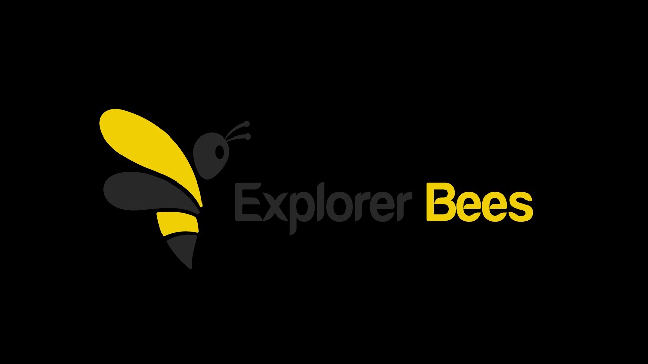 Explorer Bees - 1 minute Video - YouTube