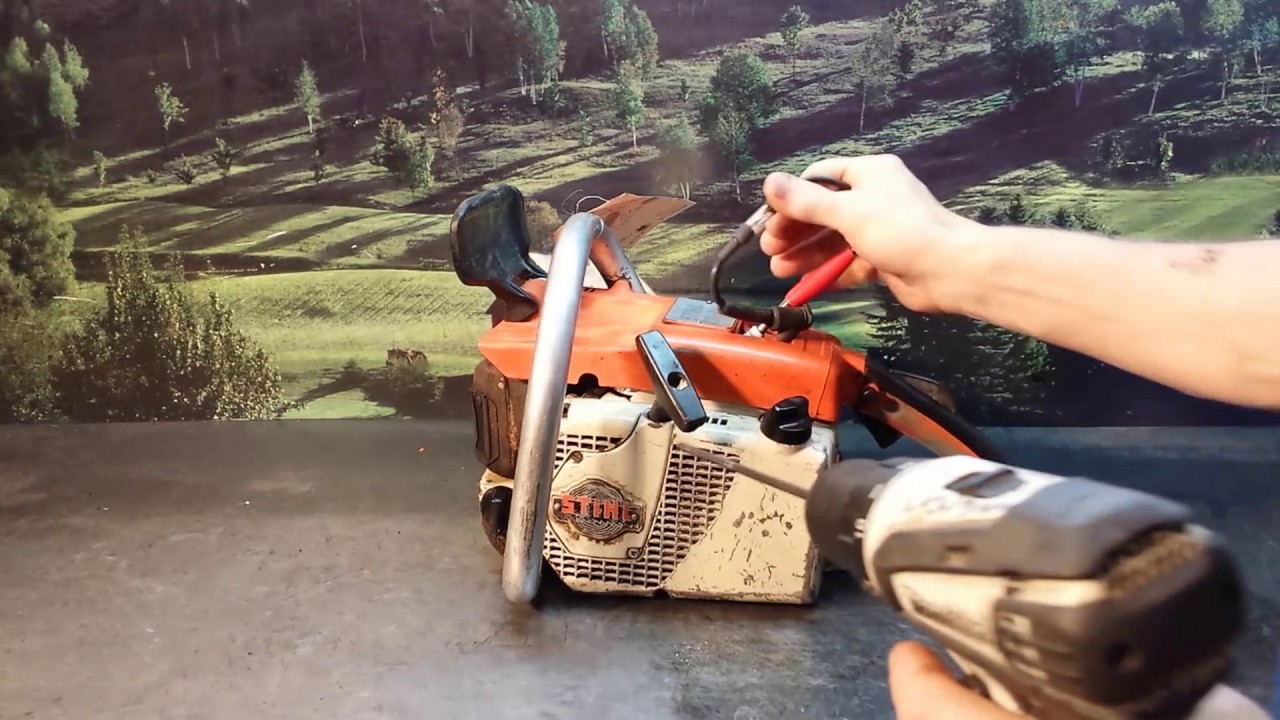 Statikleo shop location - hostshac