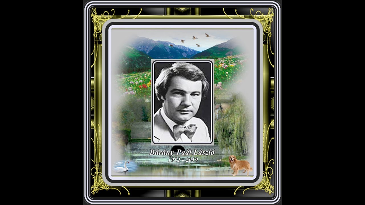 Bárány-Paál László : Nem vagyok én olyan fából faragva - YouTube